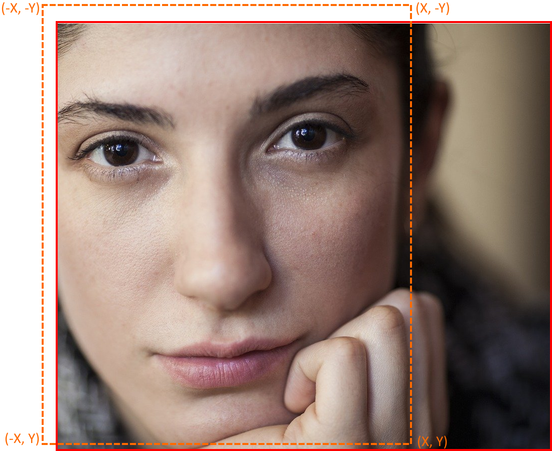 Detection facility - LUNA SDK documentation